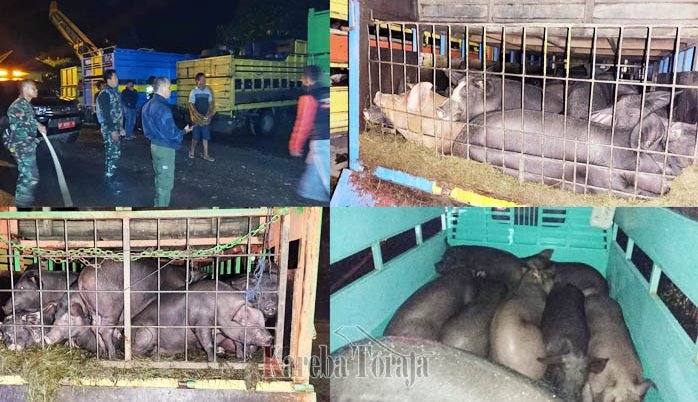 Motor Roda Empat Kini Hadir Sebagai Wahana Rekreasi Baru di Tana Toraja ...